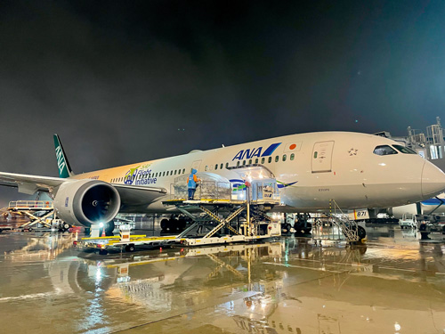 ANA、SAFを使いCO2削減 荷主の脱炭素支援で競争力強化：日経ビジネス電子版